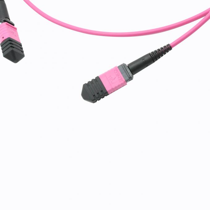 24F 40G Male OM4 MPO cable
